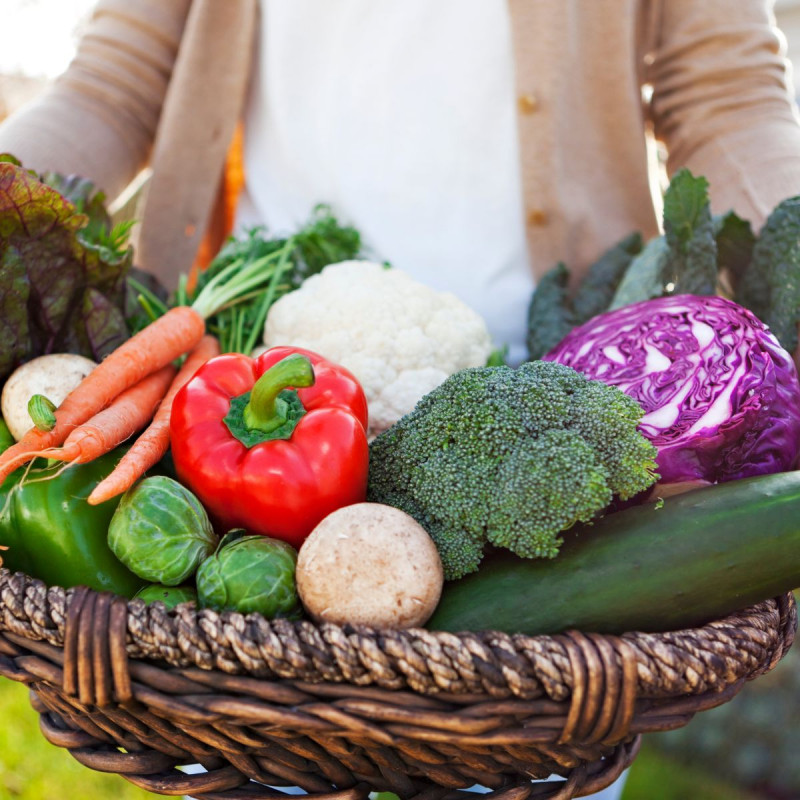 20 L Kaluterra-Schwarzerde - Die schwarze Wundererde für Ihren Garten