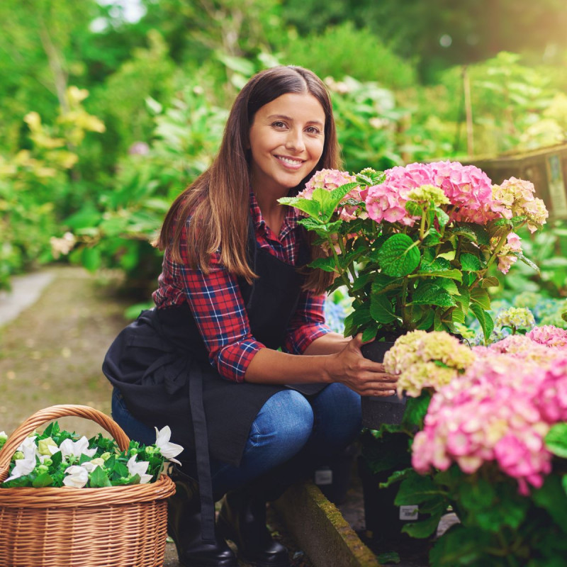 20 L Kaluterra-Schwarzerde - Die schwarze Wundererde für Ihren Garten